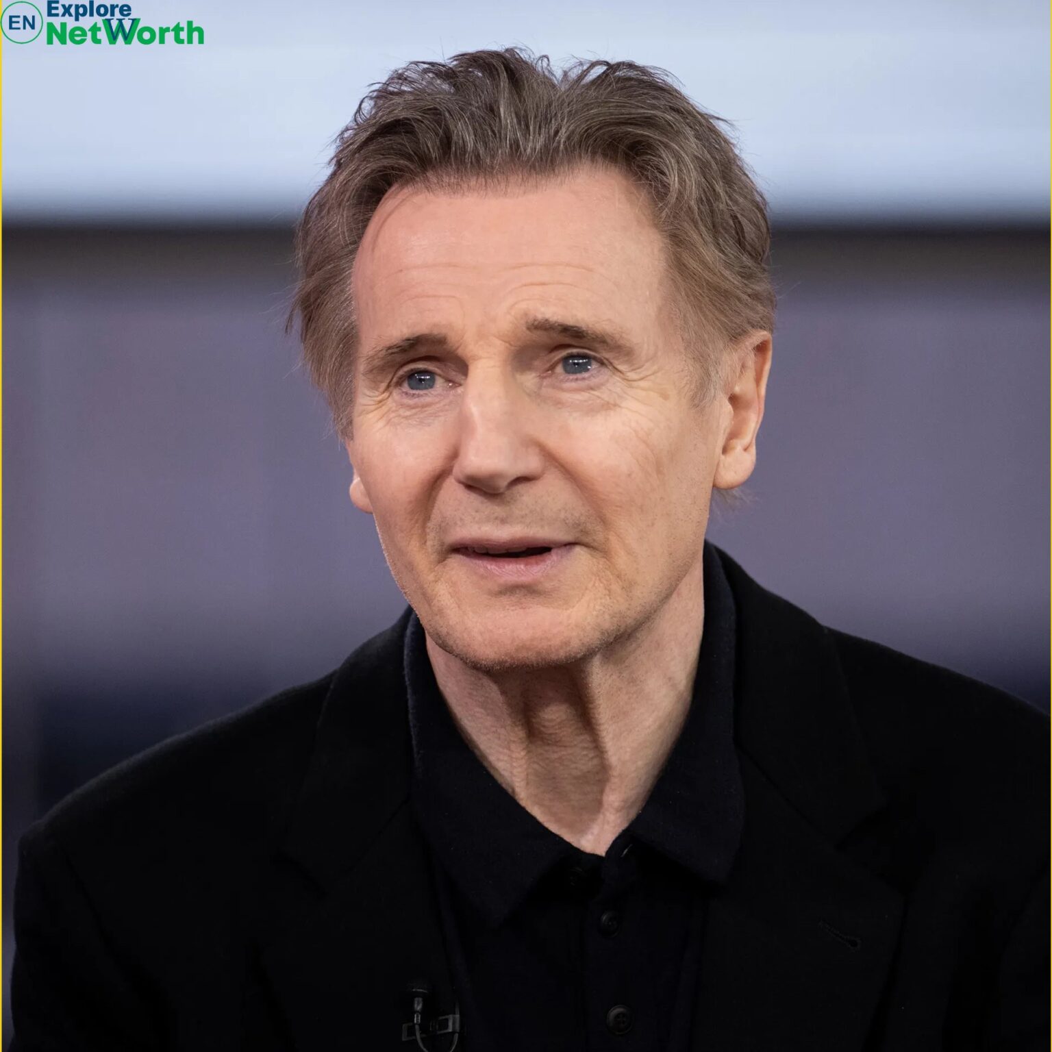 How Much Is Liam Neeson Net Worth 2024?