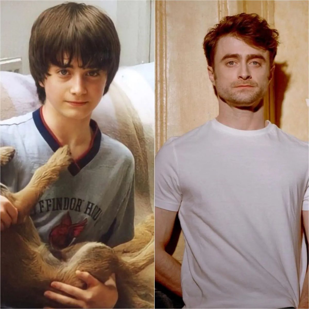What Is Daniel Radcliffe Net Worth? Full Biography 2024 - Explore Net Worth
