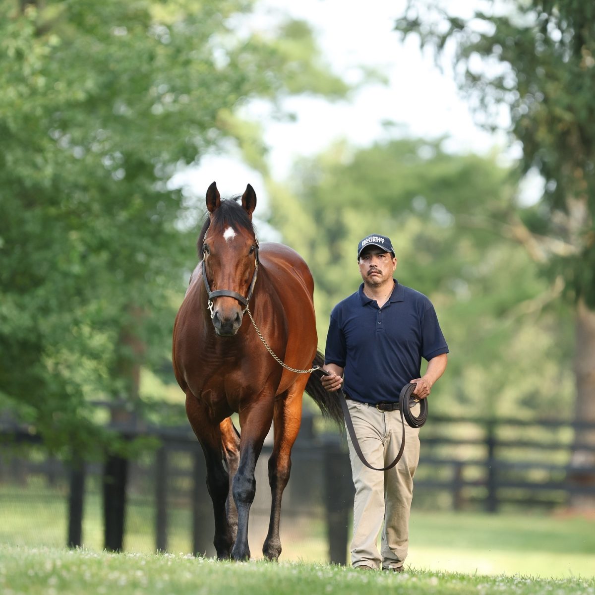Jill Baffert Age: Learn Her Real Age In 2024 - Explore Net Worth